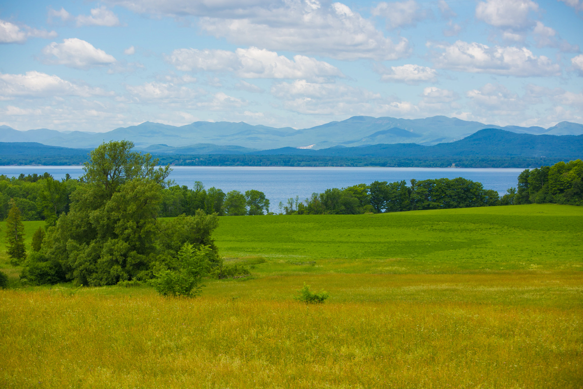 High Acres Farm — Rentals