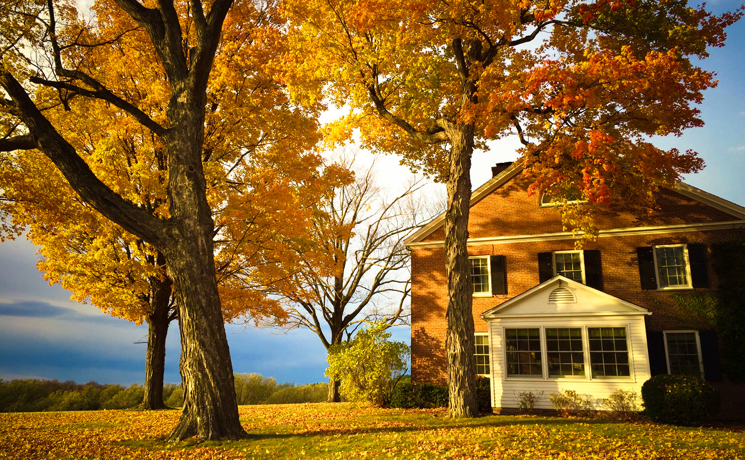 High Acres Farm — Rentals